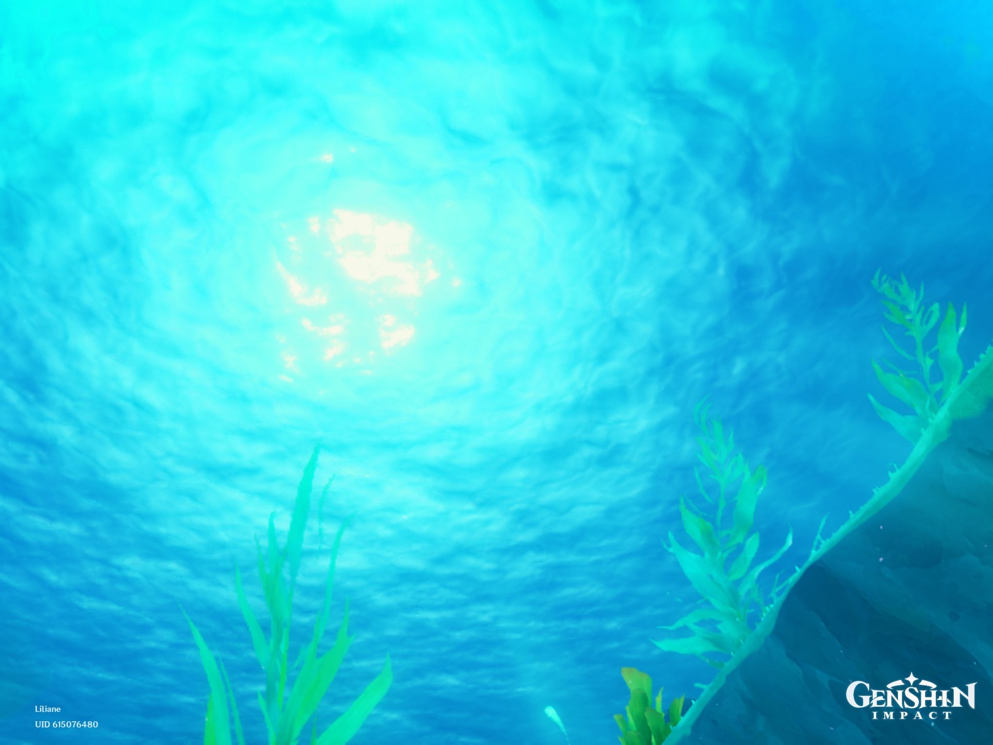 Underwater depth's Genshin Impact | HoYoLAB