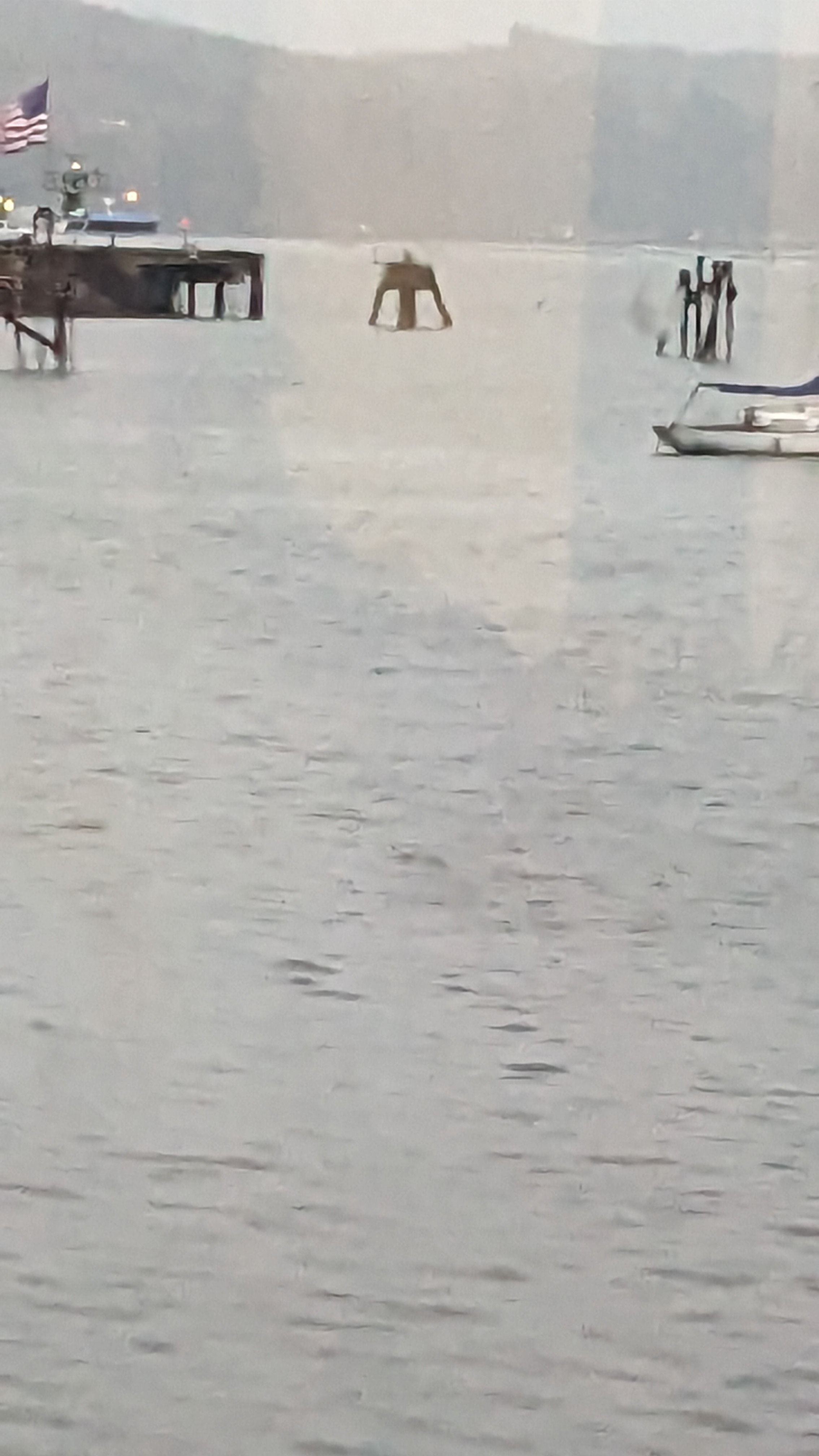 Ruin guard ahahahbaja Genshin Impact | HoYoLAB