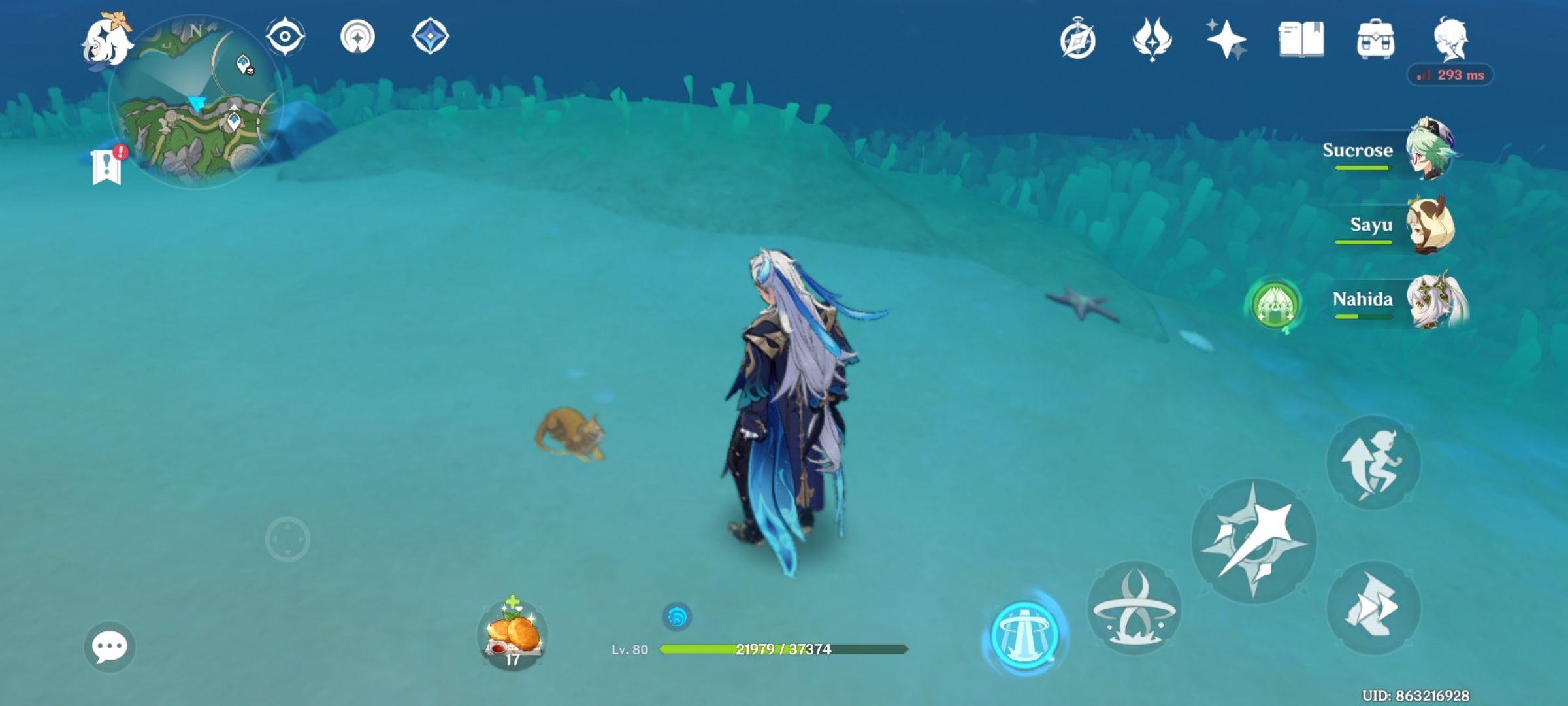 New animal introduced! Genshin Impact | HoYoLAB