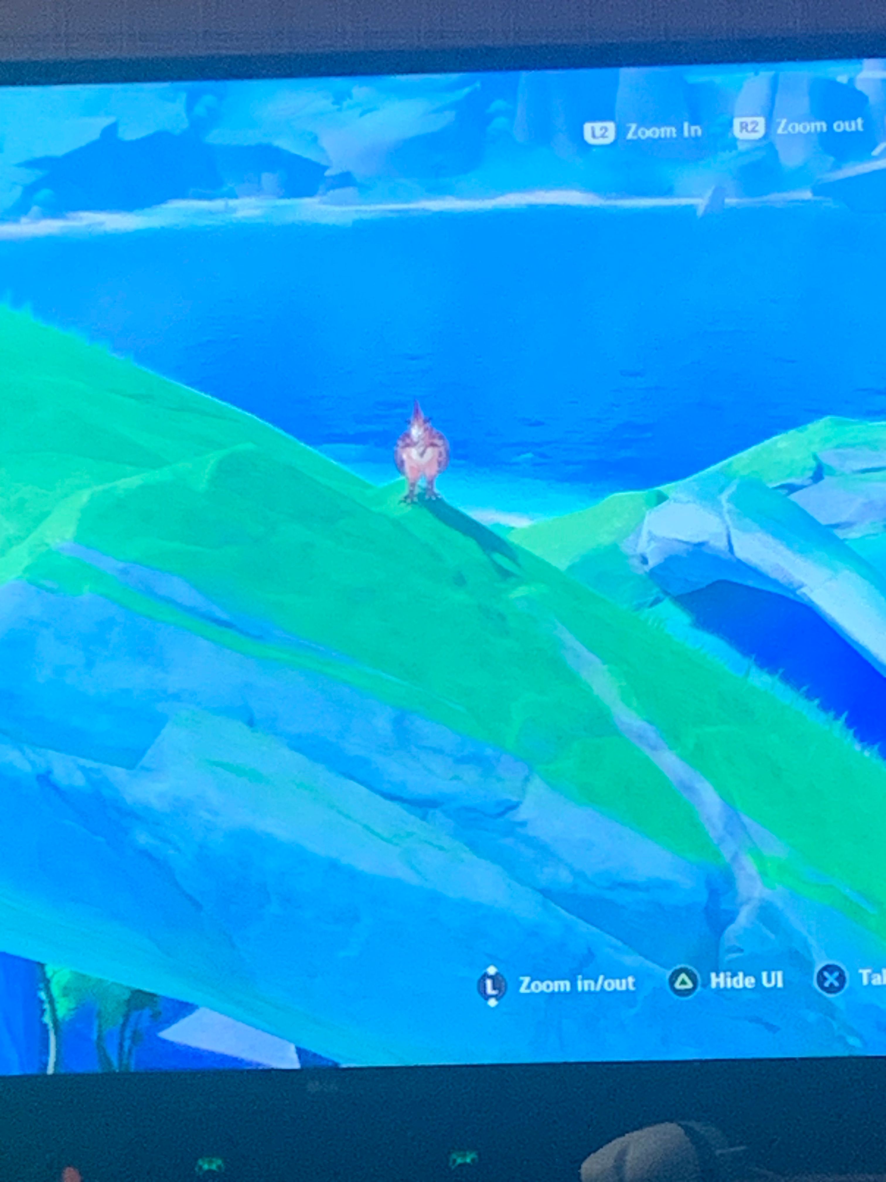 Red Vulture on Elynas??? Genshin Impact | HoYoLAB