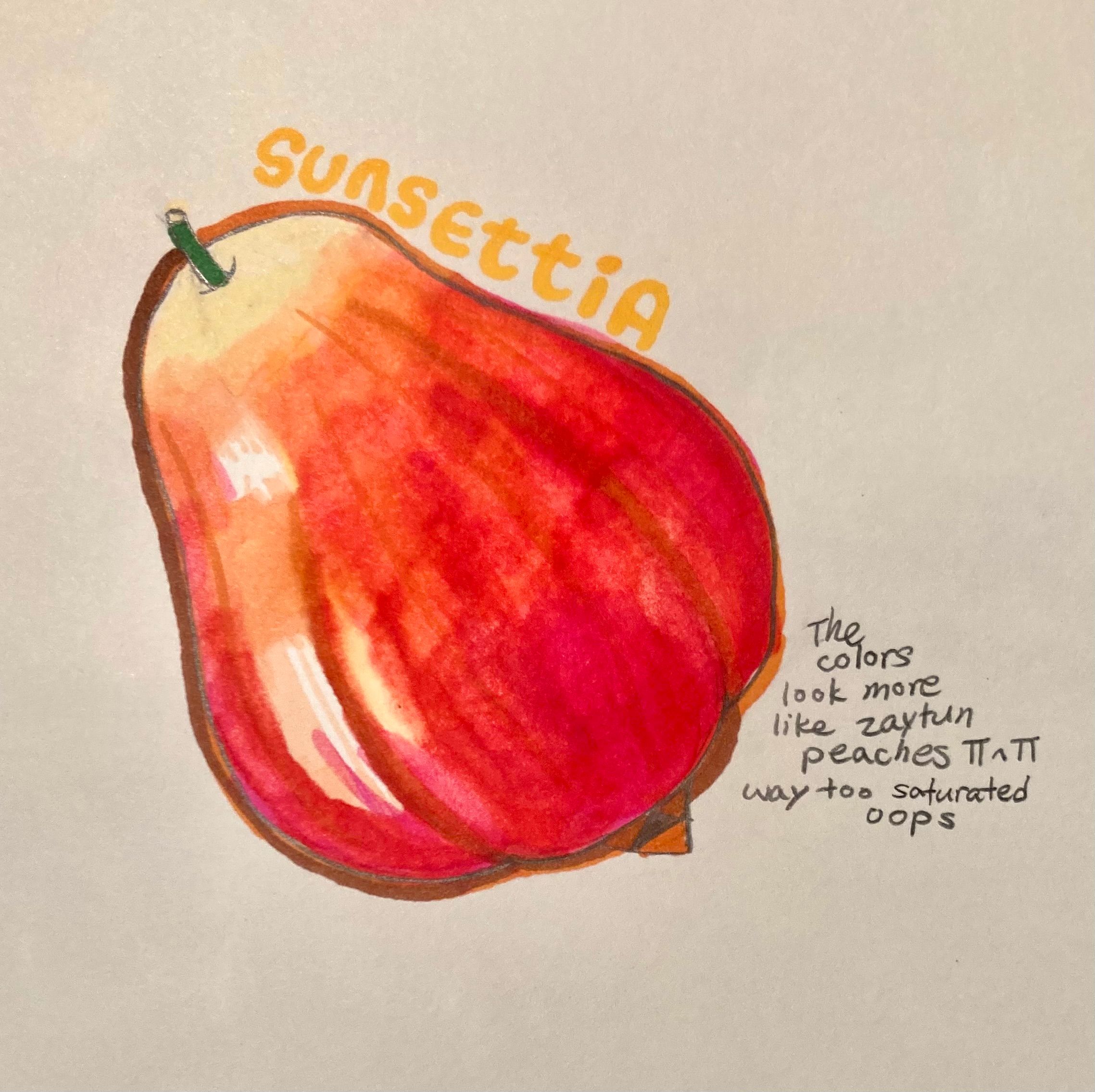 I tried drawing a sunsettia help Genshin Impact | HoYoLAB