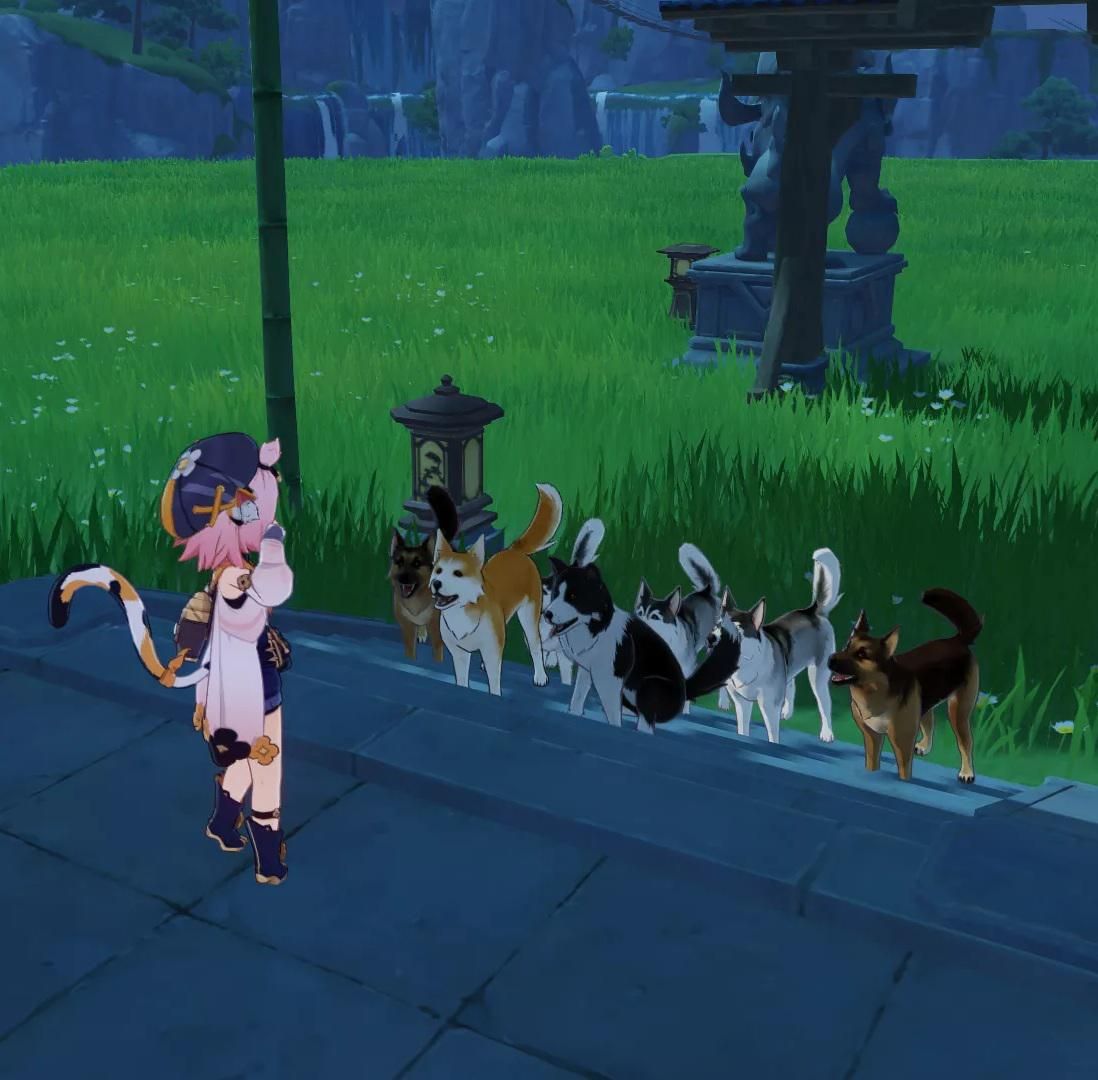 animals ,animals, just animals! Genshin Impact | HoYoLAB