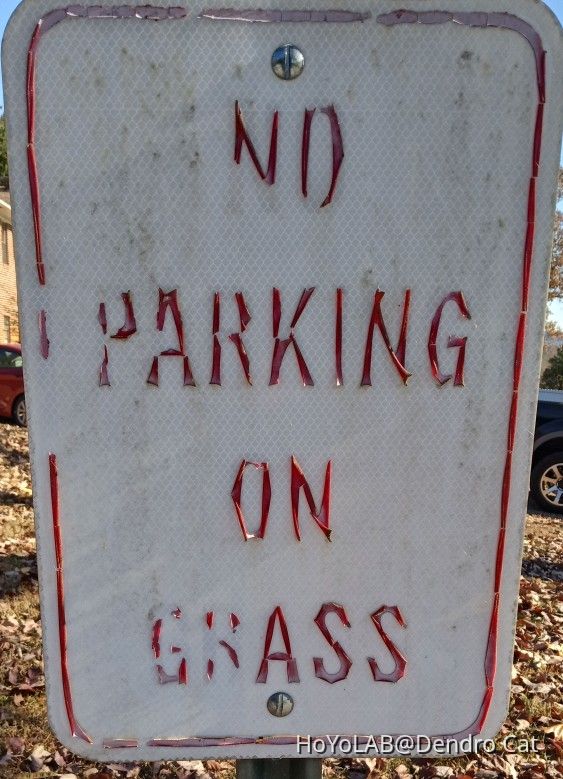 A totally normal sign | HoYoLAB