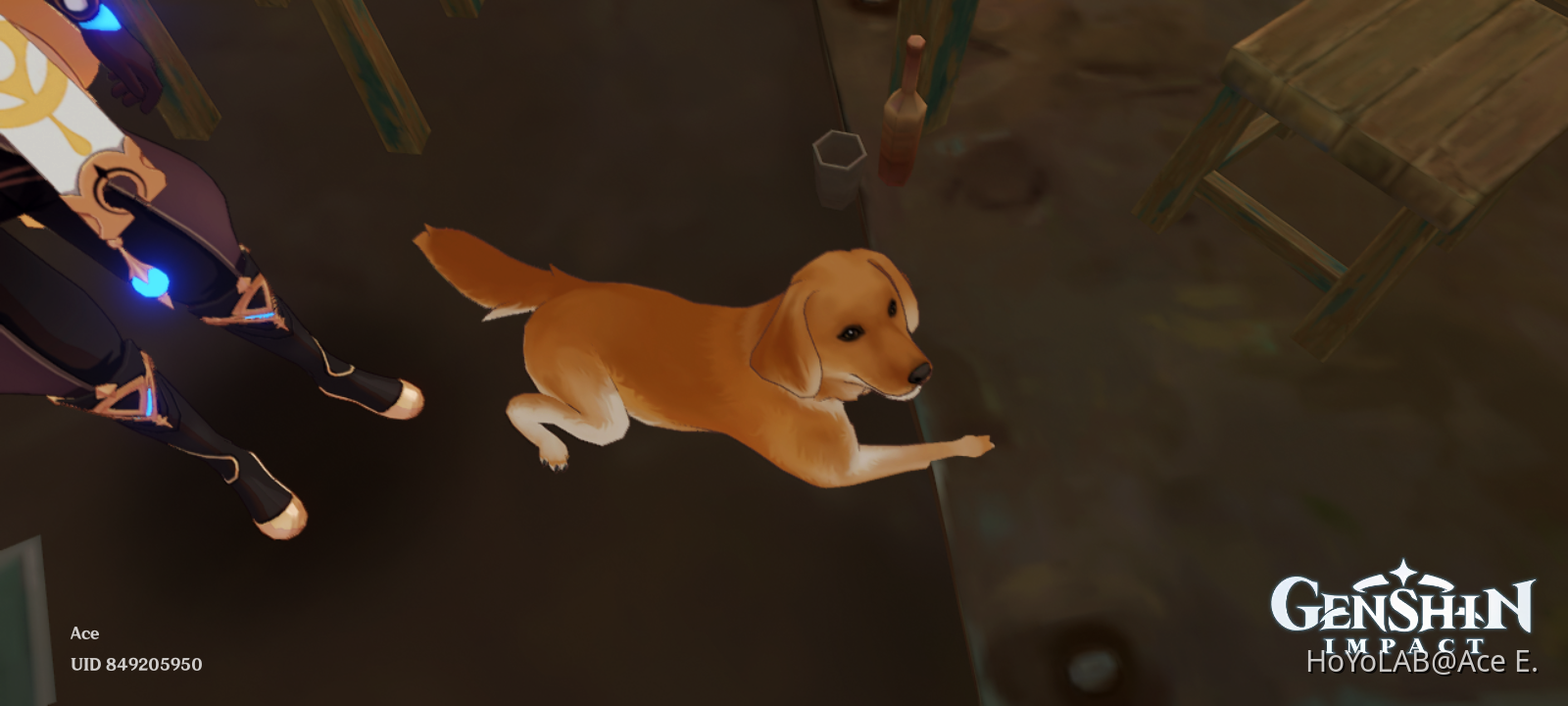 This Dog looks amazing Genshin Impact | HoYoLAB