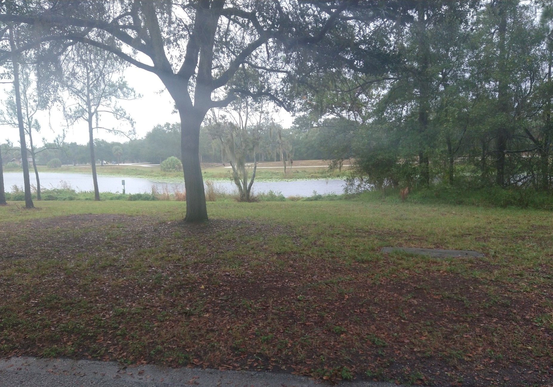 Where is Kaeya when you need him? Genshin Impact | HoYoLAB