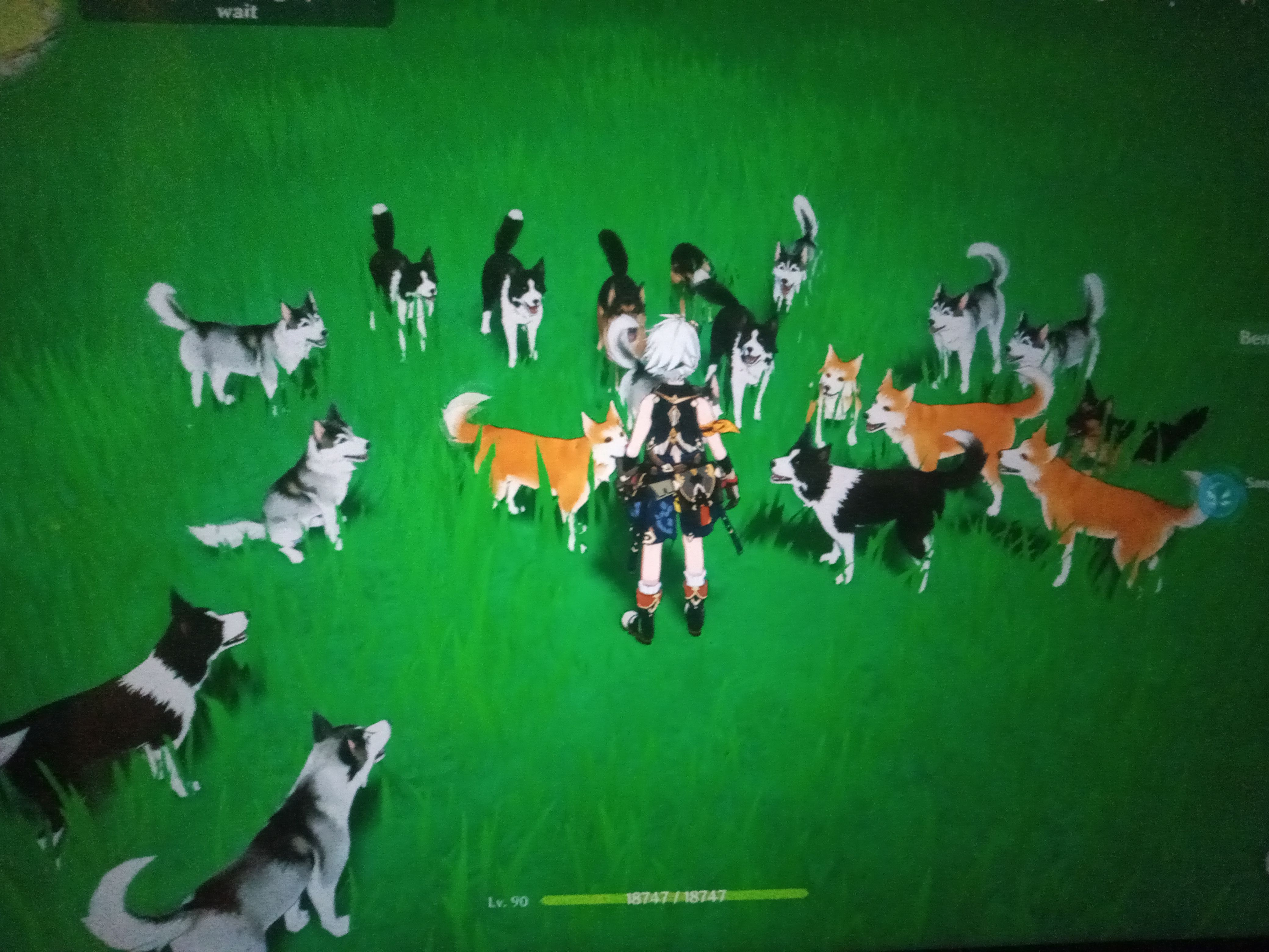 When you've lost too many 5050s and have to go see you emotional ...