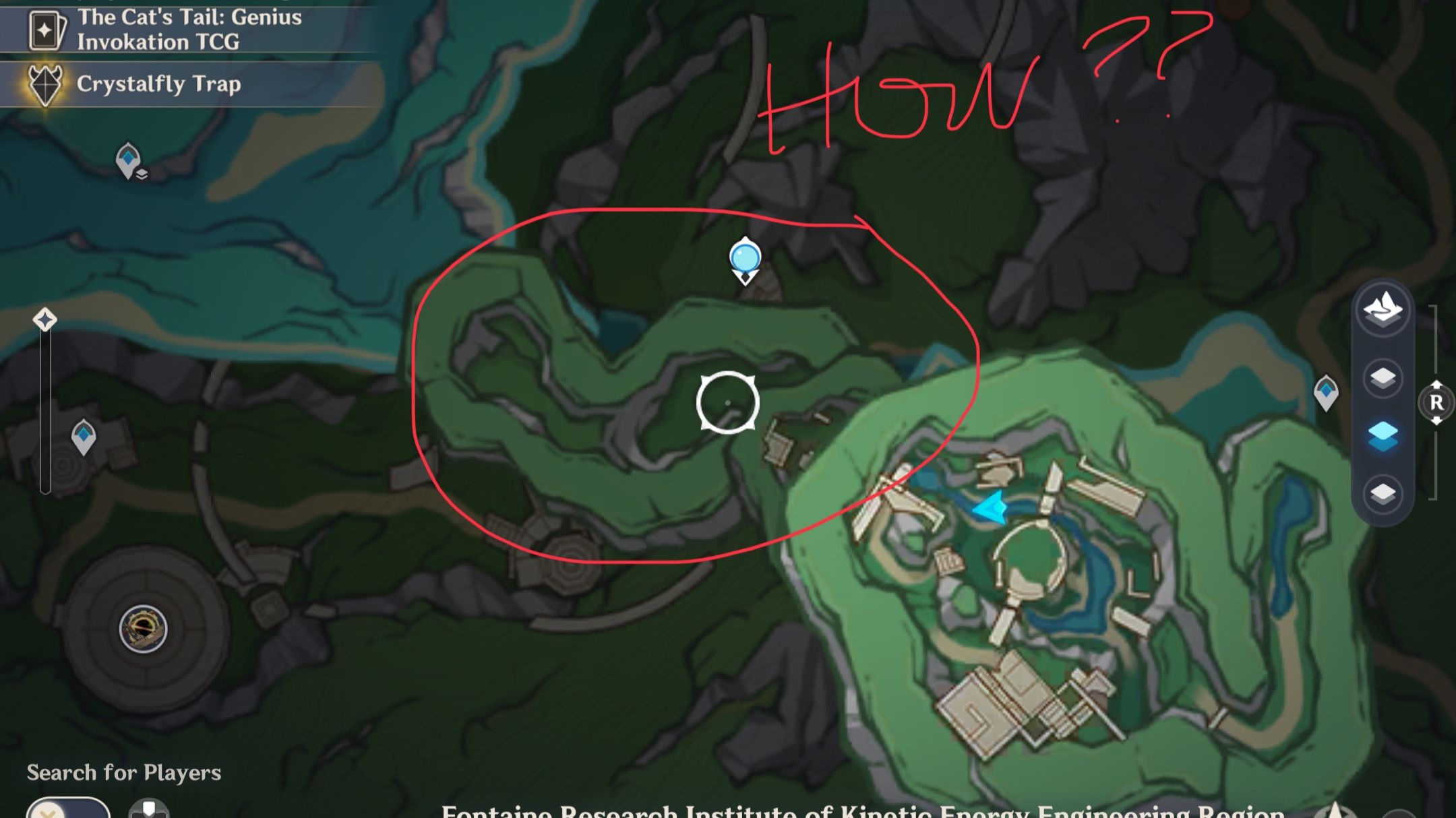 i have ZORO NAVIGATION SKILL Genshin Impact | HoYoLAB