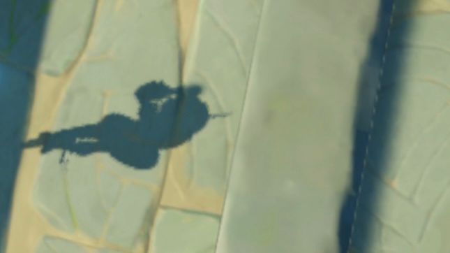 [Genshin Shadow Challenge #23] Who’s That Character? Genshin Impact ...