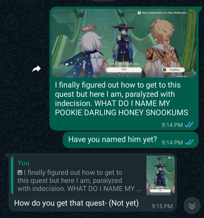 !!SPOILERS!! DNI IF YOU HAVENT DONE SUMERU INTERLUDE QUEST. GUYS HELP ...