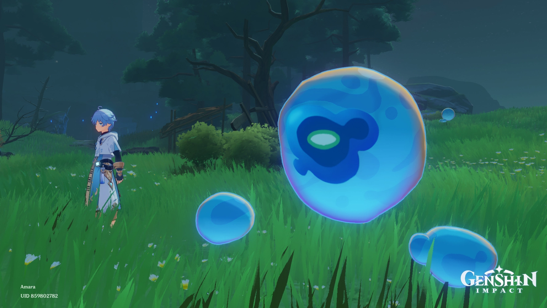 Rhodeia's Friends? Genshin Impact | HoYoLAB