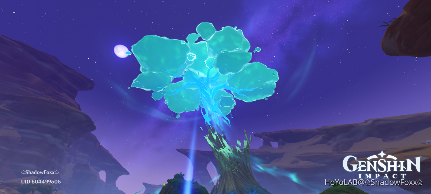 Another beautiful tree in Sumeru Genshin Impact | HoYoLAB