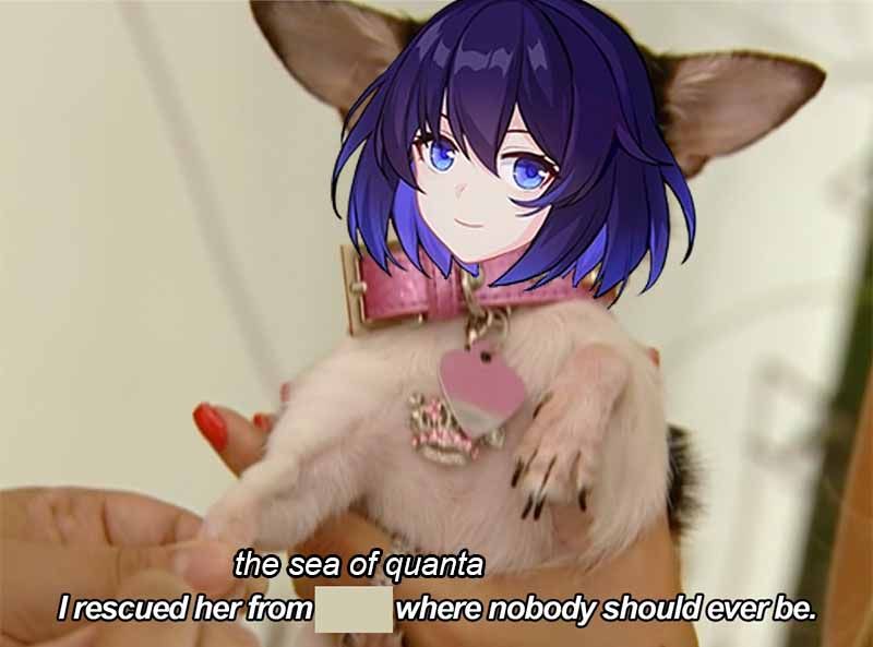 Random Seele Meme Honkai Impact 3rd | HoYoLAB