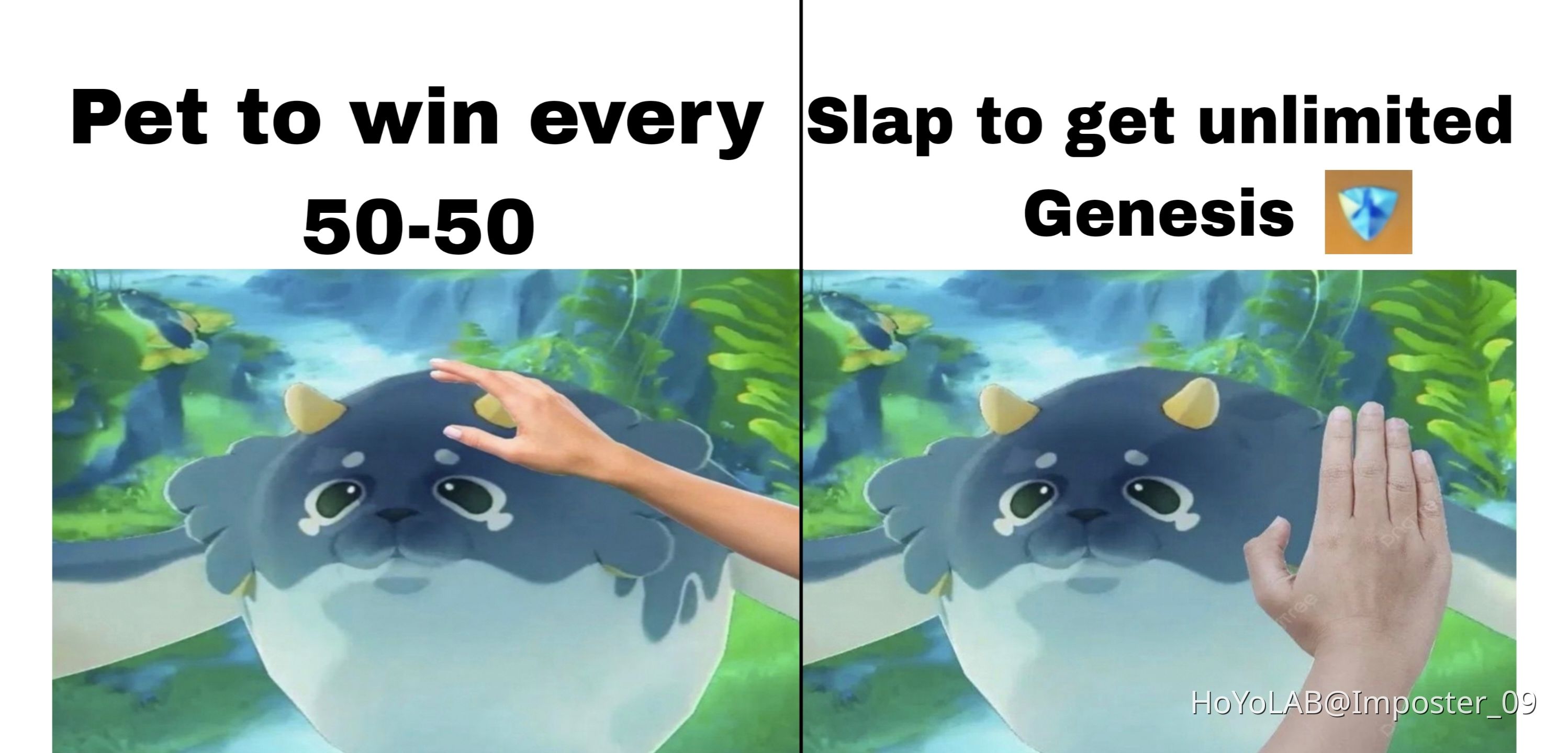 Slap or Pet? Genshin Impact | HoYoLAB