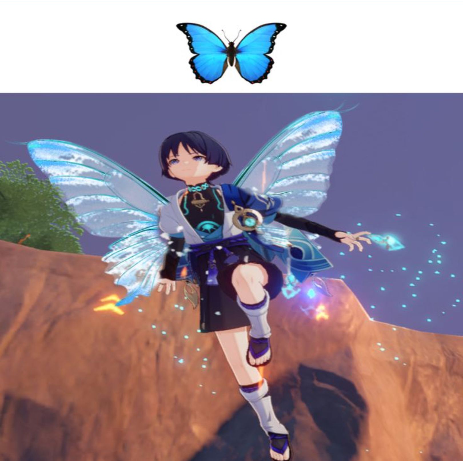 She was a fairy 💫💖 🌈🌟 Genshin Impact | HoYoLAB