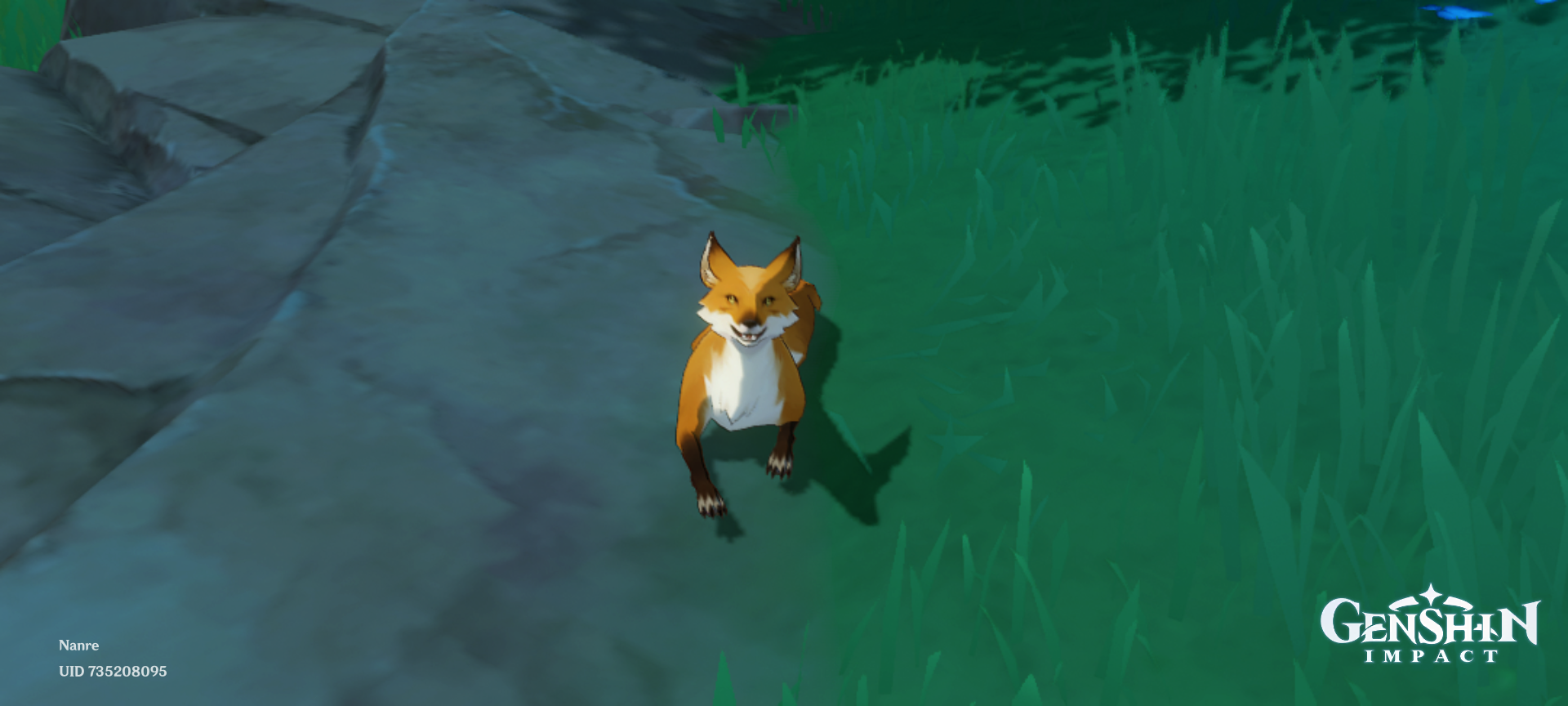 A smiling fox Genshin Impact | HoYoLAB