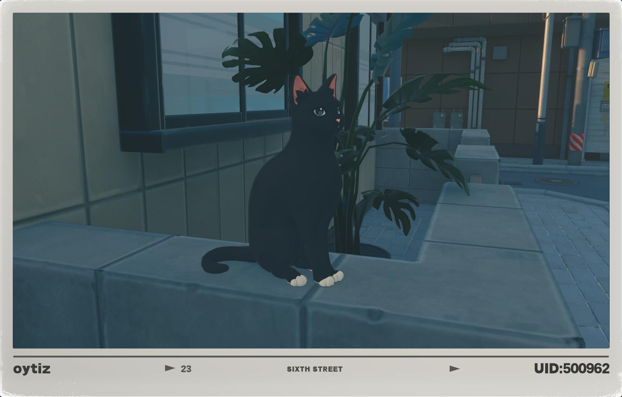 Inky kitten Zenless Zone Zero | HoYoLAB