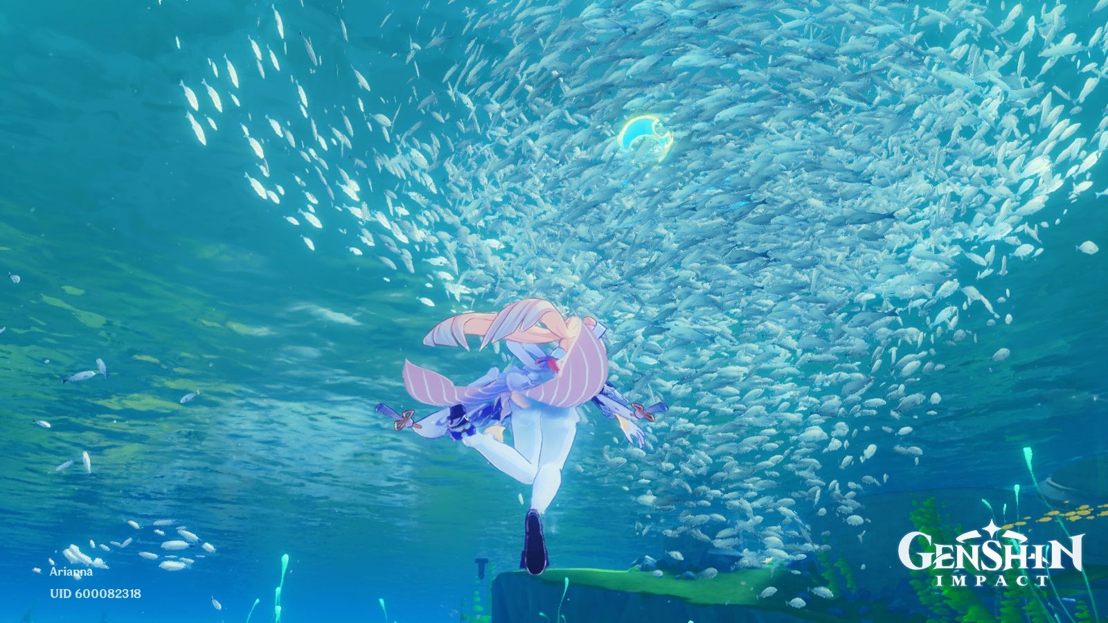 Fishnado!! Genshin Impact | HoYoLAB