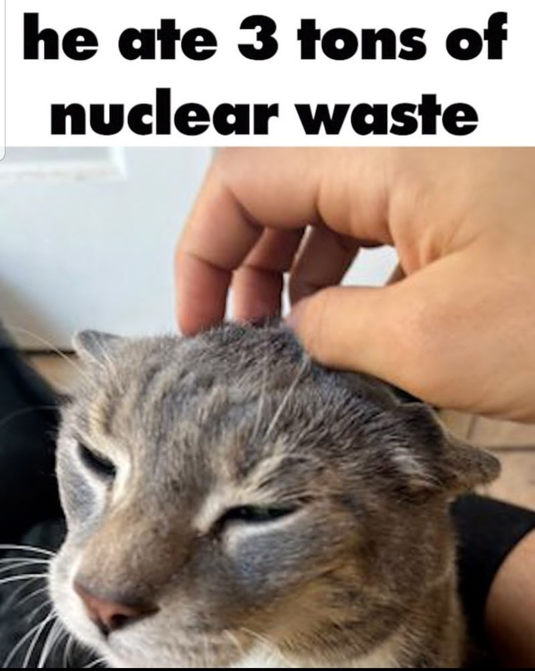 random shtpost | HoYoLAB