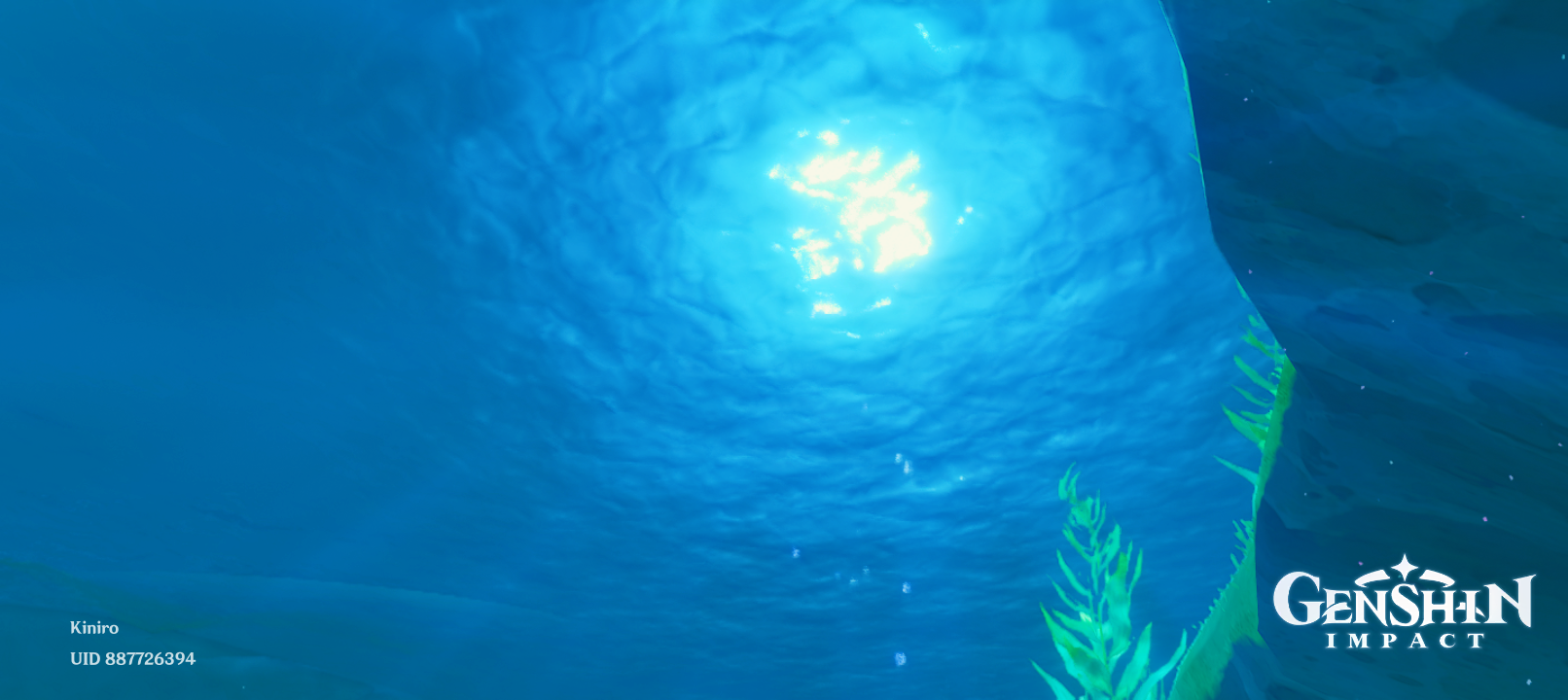 Pretty Water Genshin Impact | HoYoLAB