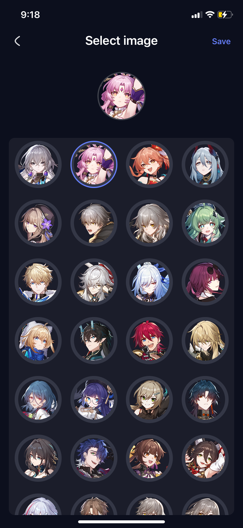 In case anyone didn’t know; they finally added all the HSR pfps ...