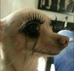 Why did I draw this ToT | HoYoLAB