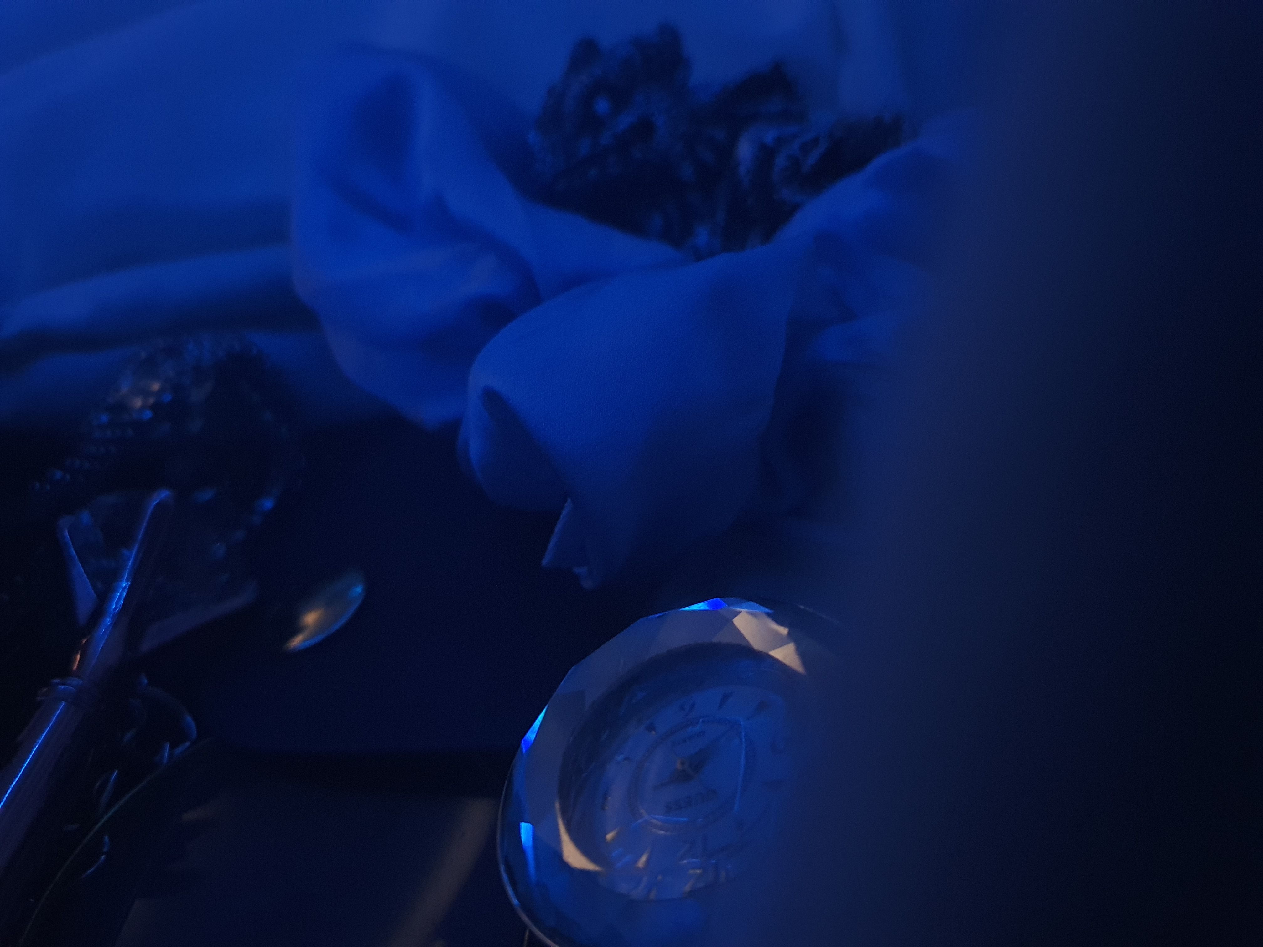 POV: You're in Neuvillette's office. Genshin Impact | HoYoLAB