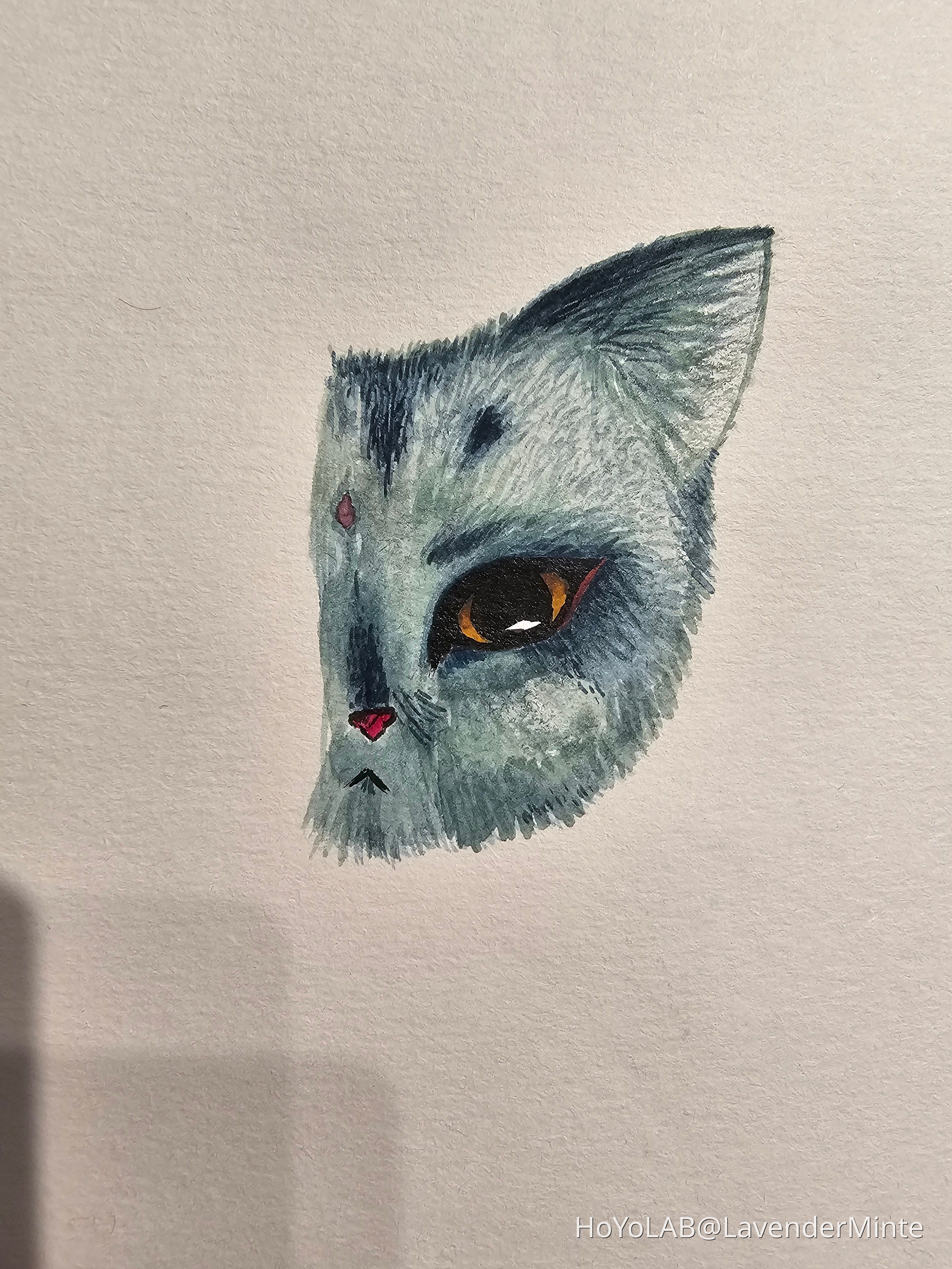 Xiao as a kitty ฅᨐฅ Genshin Impact | HoYoLAB