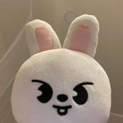 Any skz fans here? | HoYoLAB