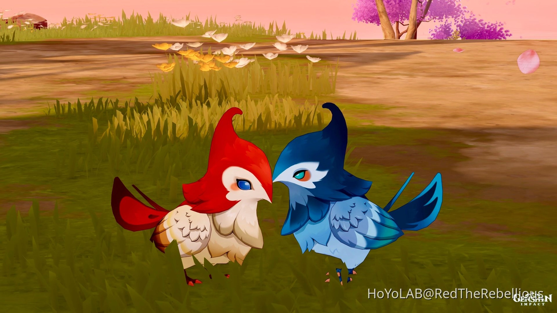 Love Birds Genshin Impact | HoYoLAB