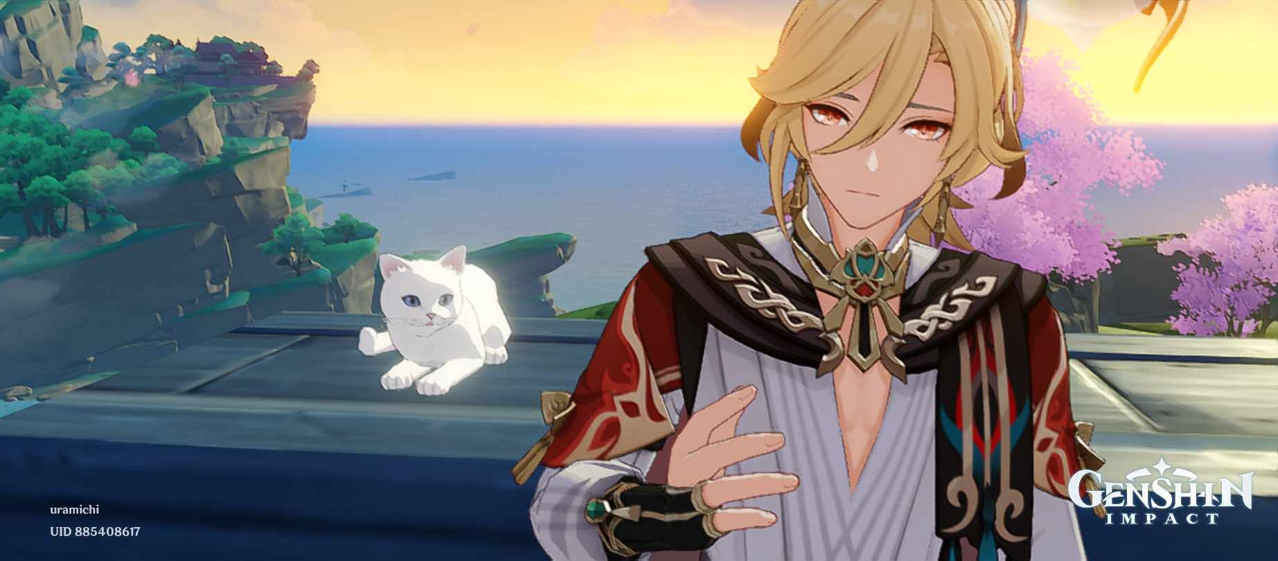 The white cat on rooftop in Inazuma City with Kaveh Genshin Impact ...