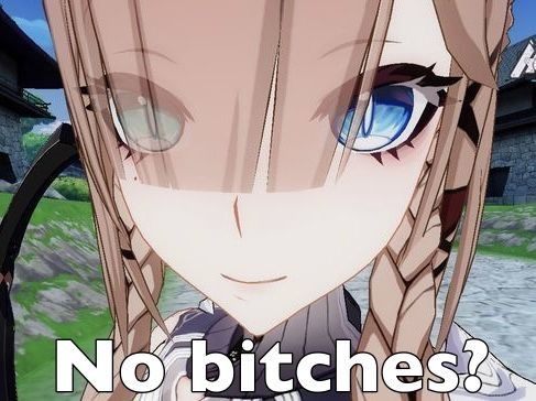 honkai memes Honkai Impact 3rd | HoYoLAB