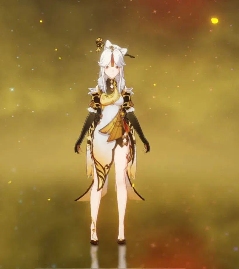 If you would choose a best geo character as a dps, why did you choose ...