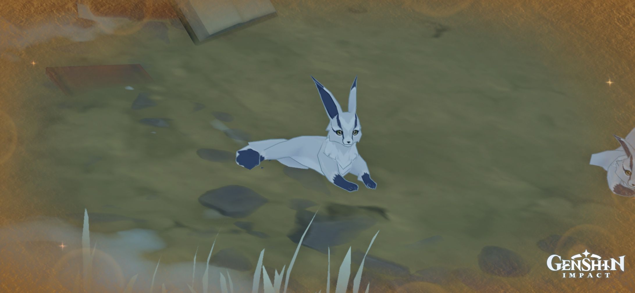 Fox chest Genshin Impact | HoYoLAB