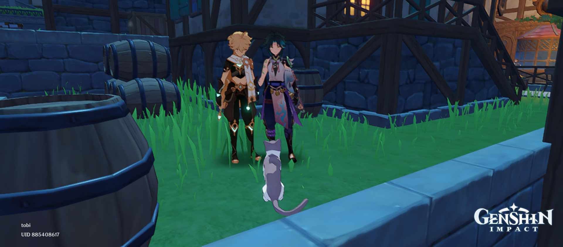 Aether and Xiao on a date on Mondstadt, checking a cat together ...