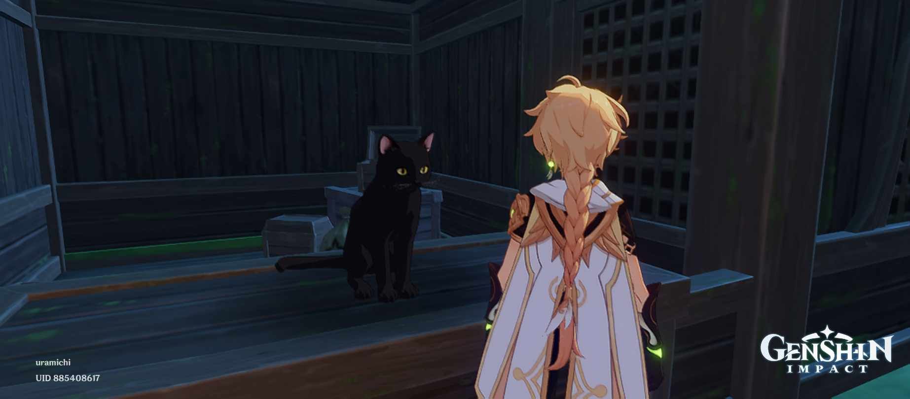 Aether with Neko at Inazuma. Look at their size difference! Genshin ...