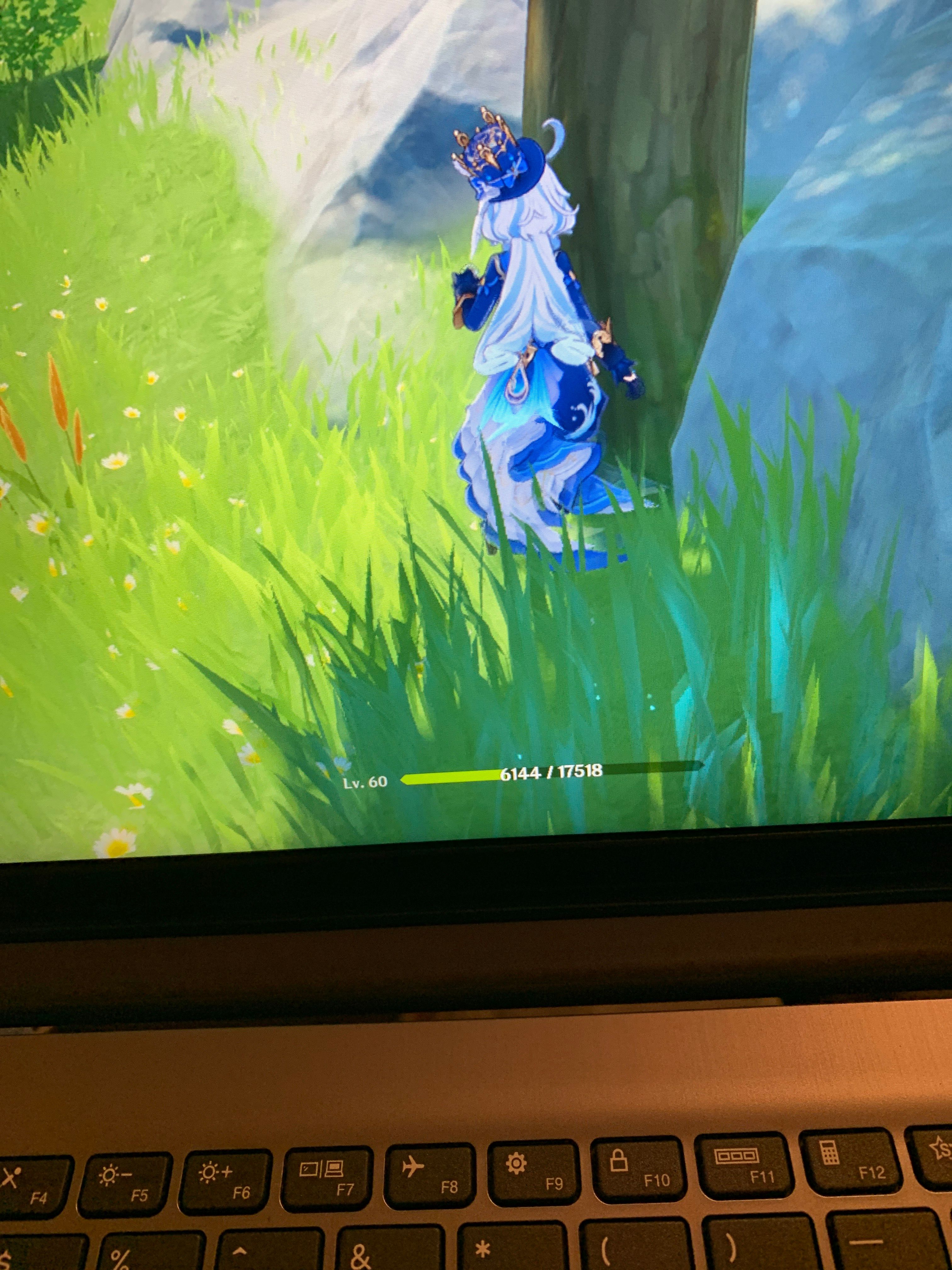 So the grass in Mondstat is glowing like the mushroom forest in sumeru ...