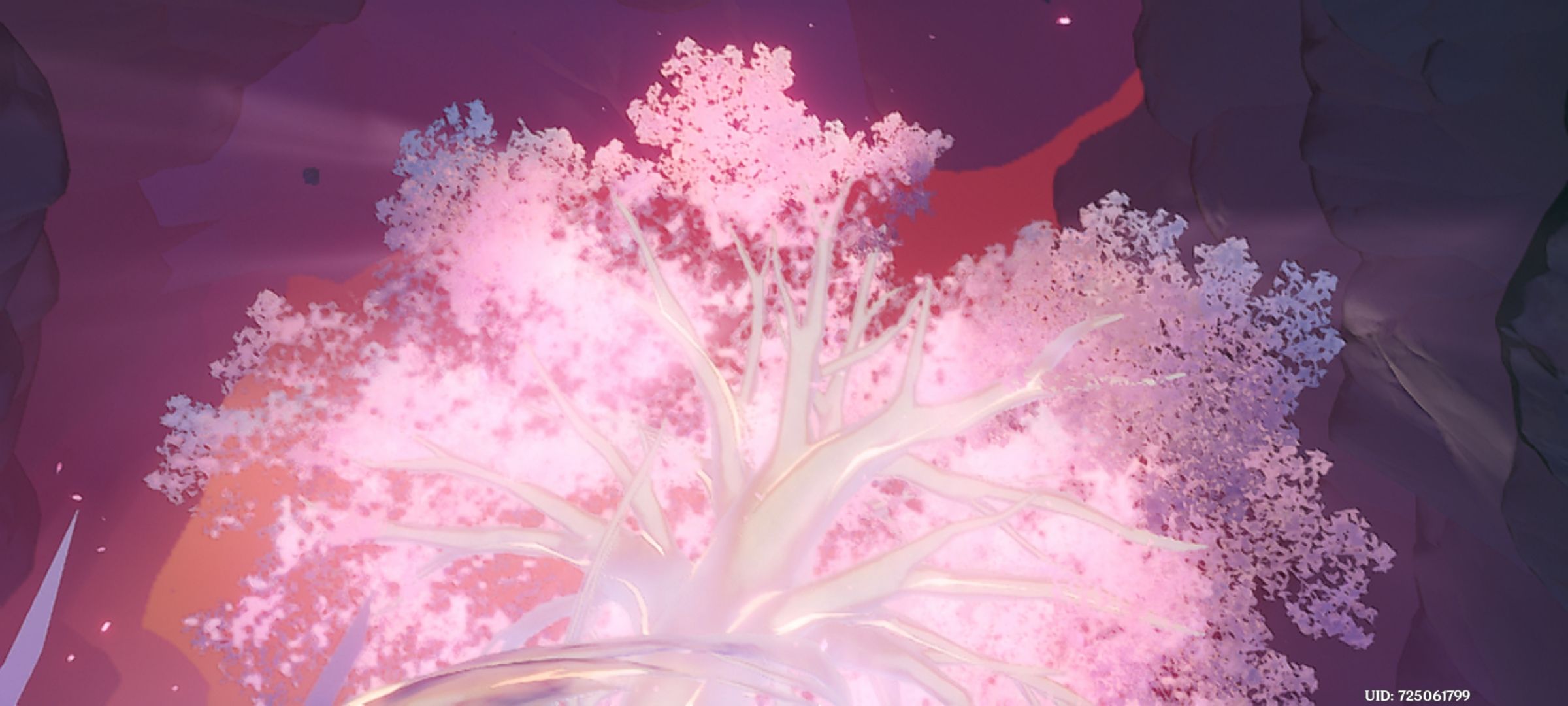 Flashback to the Irminsul Tree Genshin Impact | HoYoLAB