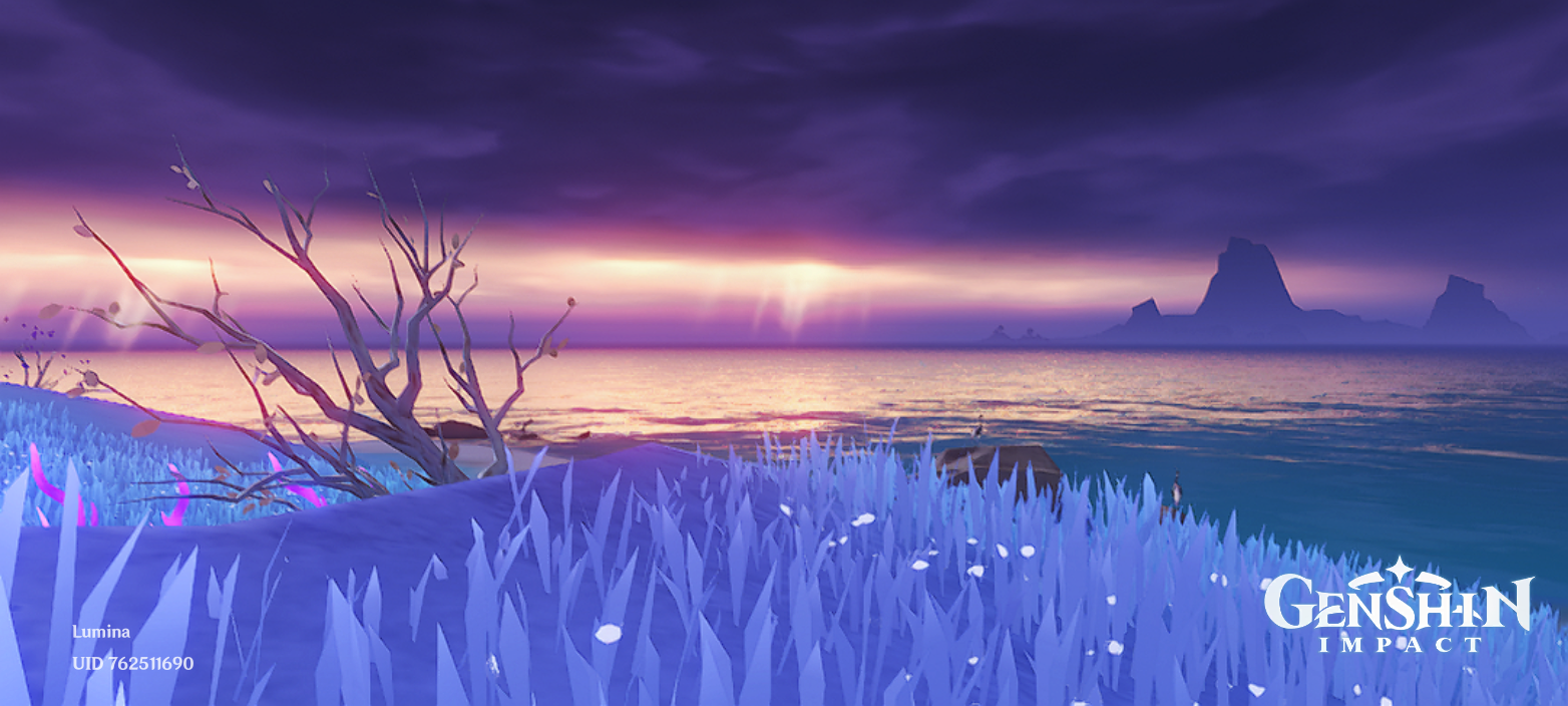 A beautiful scenery I came by Genshin Impact | HoYoLAB