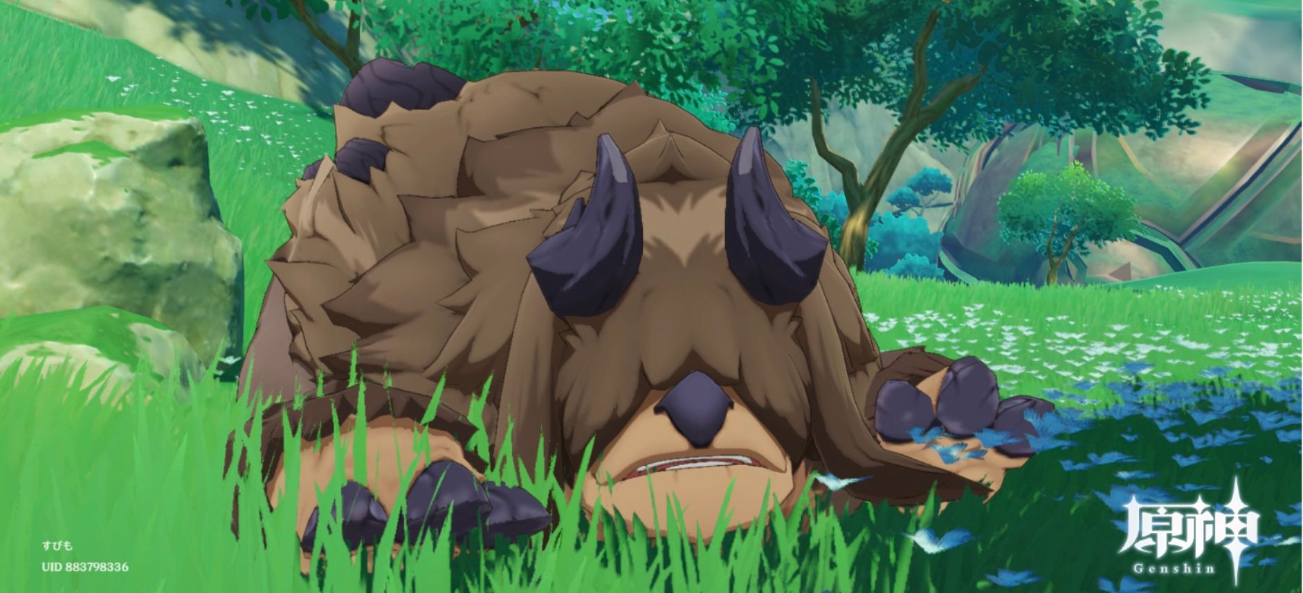 なんか可愛いから撮ってみた Genshin Impact | HoYoLAB