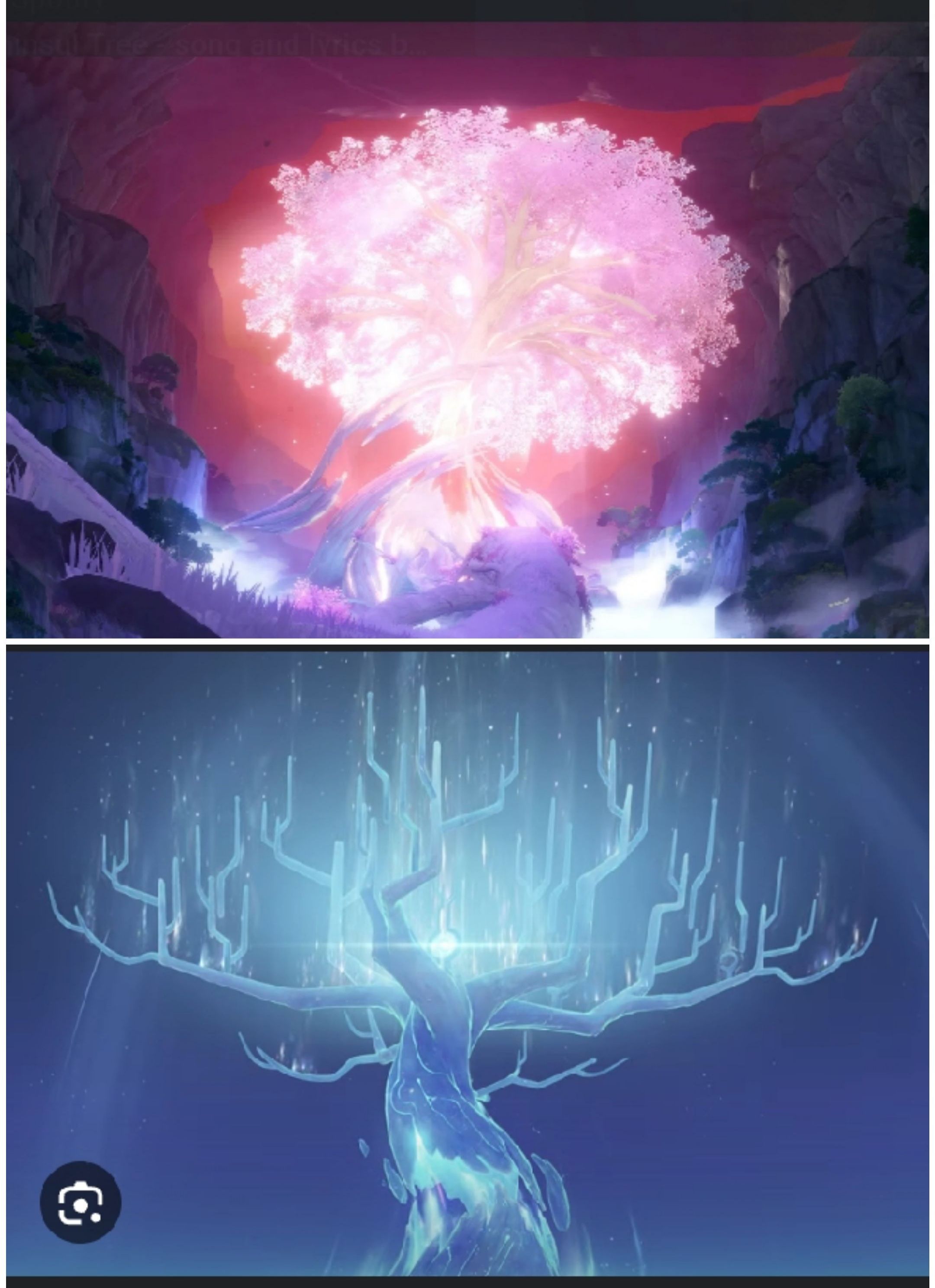 a tree xD? Genshin Impact | HoYoLAB