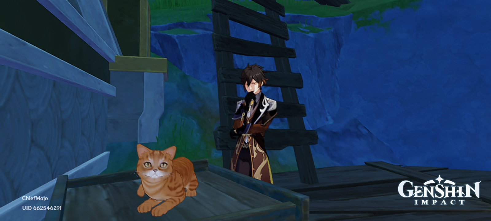 Random cat? Genshin Impact | HoYoLAB