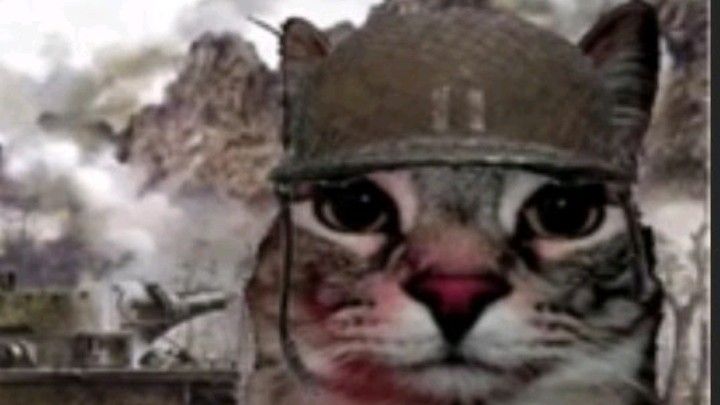 How klee burned the mountain Genshin Impact | HoYoLAB