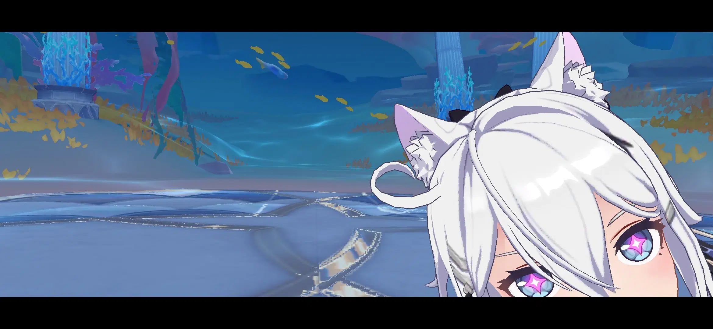 Kiana tuna cat Honkai Impact 3rd | HoYoLAB