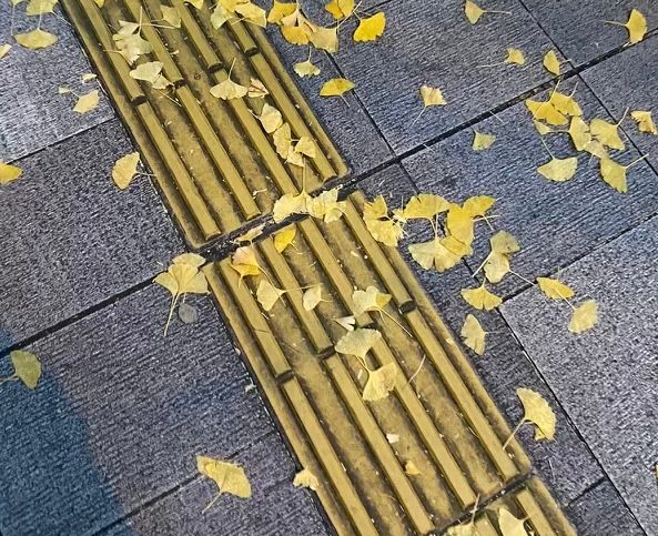 Cheapest HSR merch Honkai: Star Rail | HoYoLAB