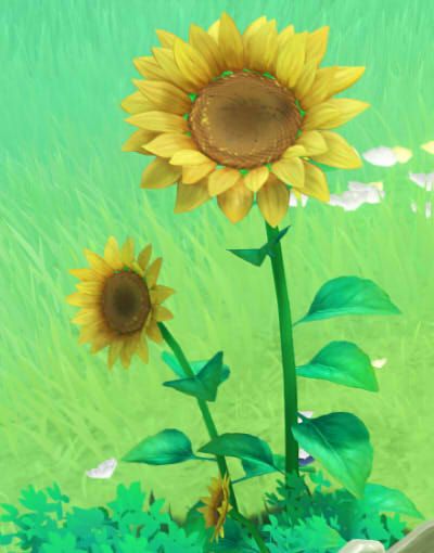 Bi-weekly Botany! Master Tighnari's Disciple Post Week 4: Common ...