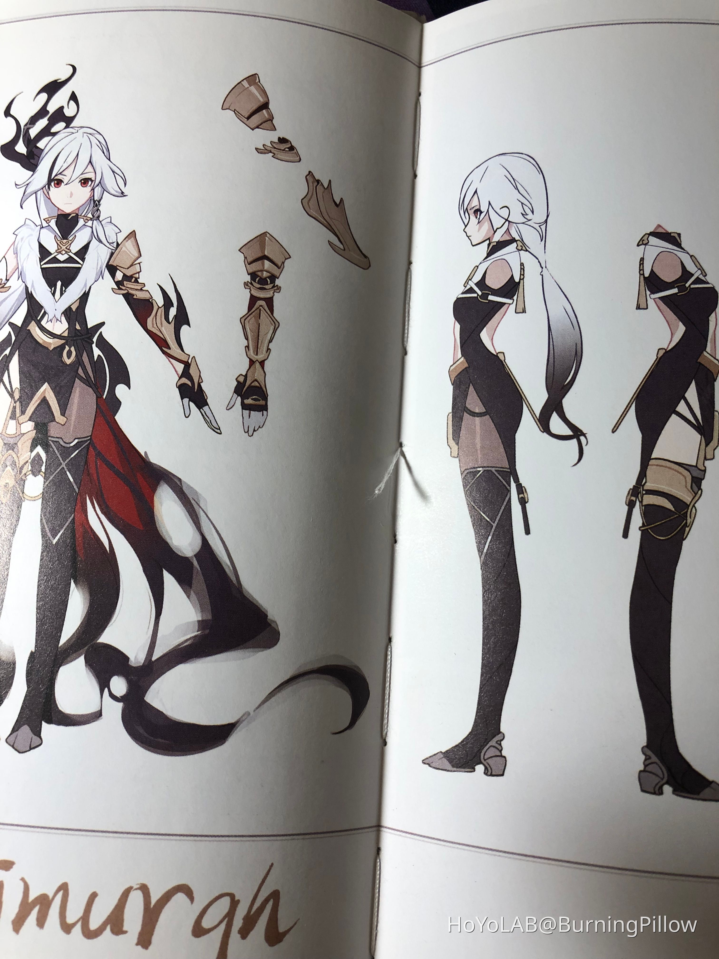 Need Help with Book Binding Honkai Impact 3rd | HoYoLAB