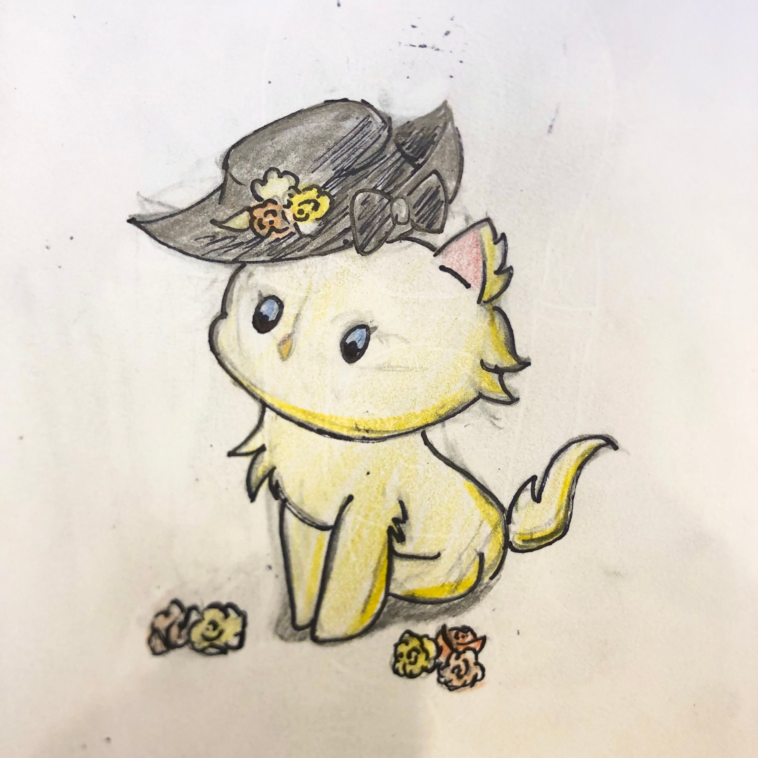 Navia Cat Genshin Impact | HoYoLAB