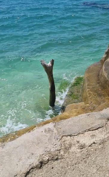 does anybody have a pyro vision?! Genshin Impact | HoYoLAB