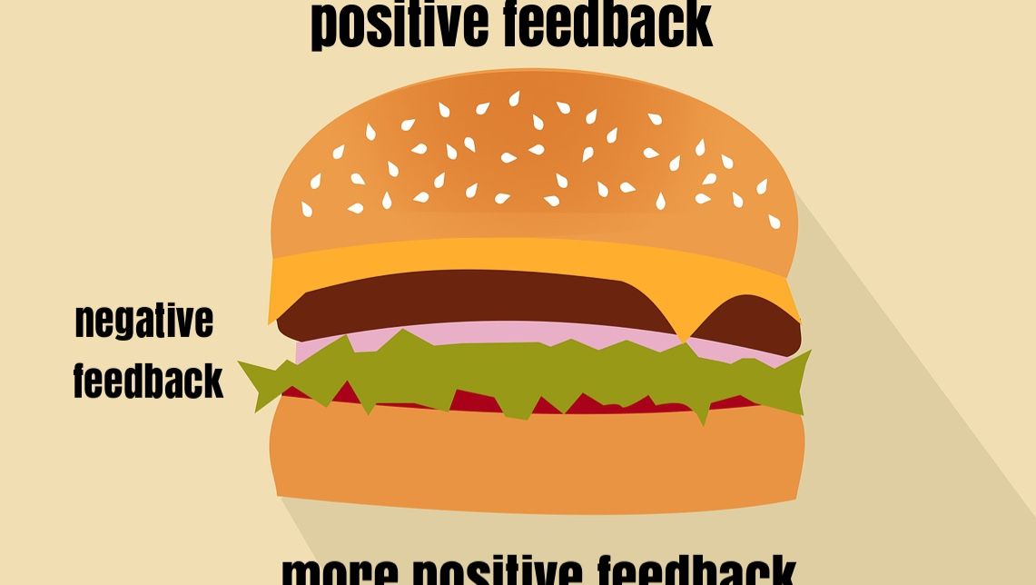 The complement sandwich: HSR Edition Honkai: Star Rail | HoYoLAB