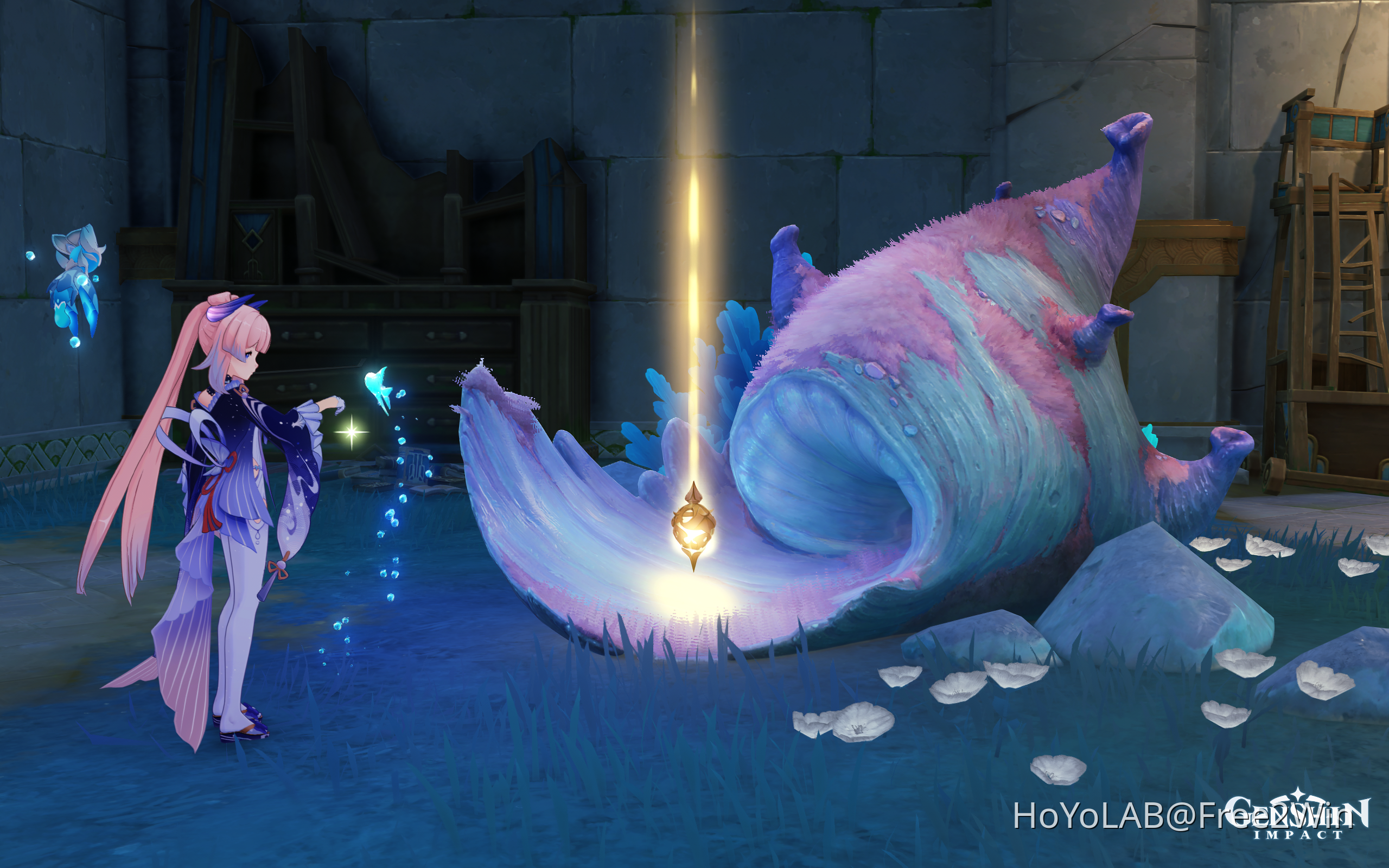 Comfy Conch Shell Genshin Impact | HoYoLAB